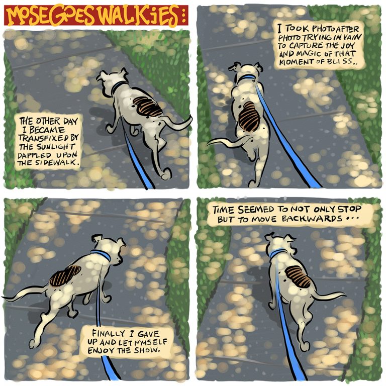 Tim Foley illustration | More Than Three Decades of Getting Away With ...