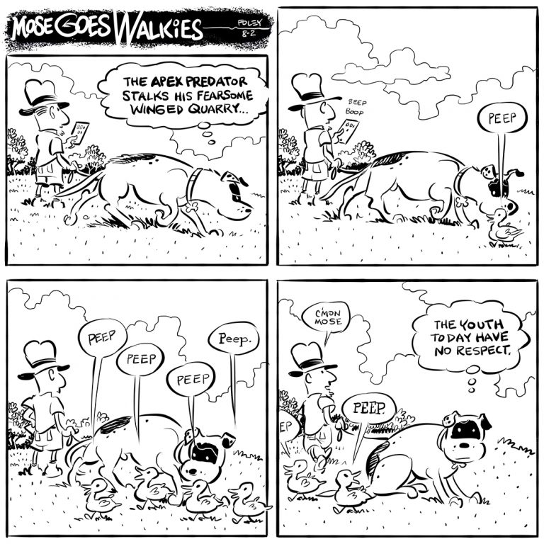 Tim Foley illustration | More Than Three Decades of Getting Away With ...