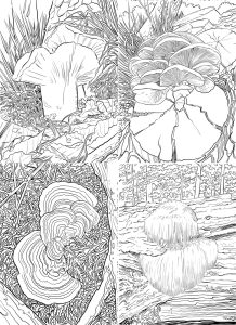 Tim Foley illustration | More Than Three Decades of Getting Away With ...